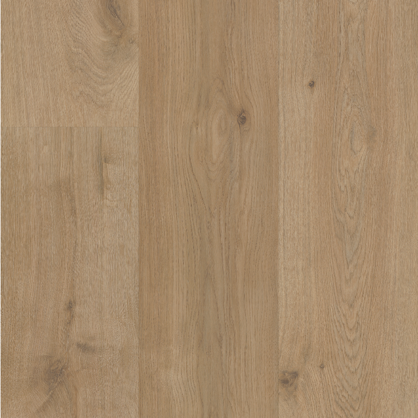 Sequoia® collection – Mint Distributors